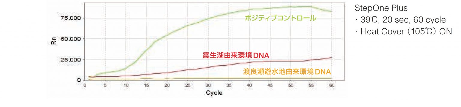 【お客様事例】リアルタイムPCR装置を利用したTwistAmp® exoの 検出系の評価 | UP! Online