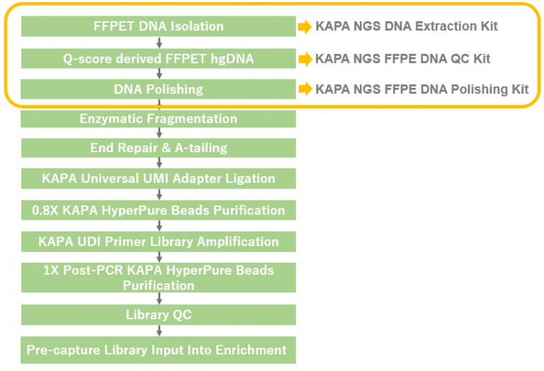 【新発売】KAPA HyperPETE ワークフローに最適化されたKAPA FFPE用キット | UP! Online