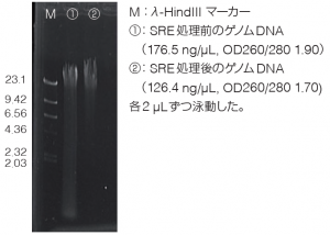 【お客様事例】KAPA HyperPure Beadsを使用した ライブラリー精製法でのナノポアシーケンスの評価試験 | UP! Online