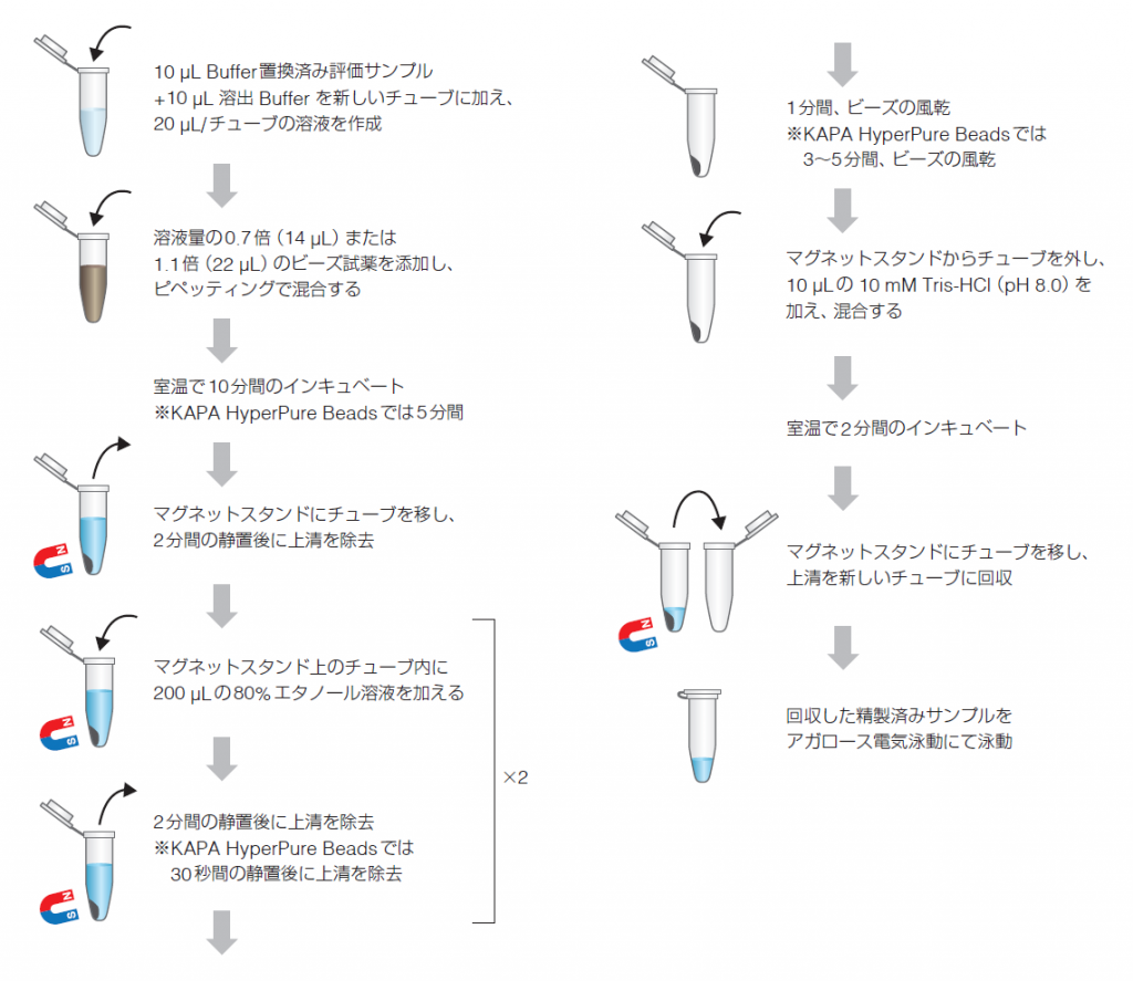 【お客様事例】KAPA HyperPure Beadsと他社磁気ビーズのプロトコル互換性の検証 | UP! Online