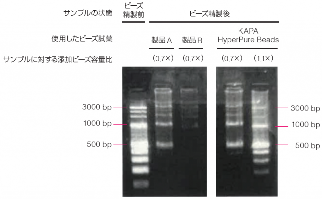 【お客様事例】KAPA HyperPure Beadsと他社磁気ビーズのプロトコル互換性の検証 | UP! Online