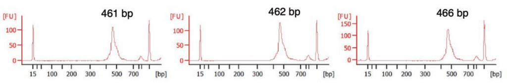【お客様事例】PCR産物精製におけるKAPA HyperPure Beadsと他社磁性ビーズの性能比較 | UP! Online