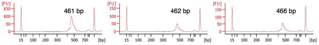 【お客様事例】PCR産物精製におけるKAPA HyperPure Beadsと他社磁性ビーズの性能比較 | UP! Online