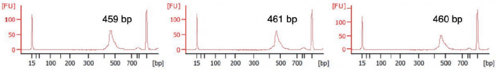 【お客様事例】PCR産物精製におけるKAPA HyperPure Beadsと他社磁性ビーズの性能比較 | UP! Online