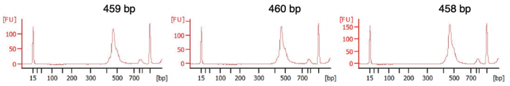 【お客様事例】PCR産物精製におけるKAPA HyperPure Beadsと他社磁性ビーズの性能比較 | UP! Online