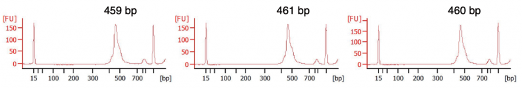 【お客様事例】PCR産物精製におけるKAPA HyperPure Beadsと他社磁性ビーズの性能比較 | UP! Online